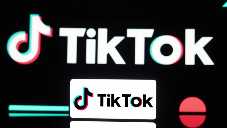 TikTok asegura que dejará de funcionar en EEUU este 19 de enero a menos que Biden haga una ...