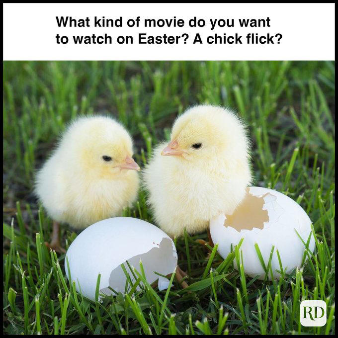 45 Hilarious Easter Memes That Will Make Any-Bunny Laugh