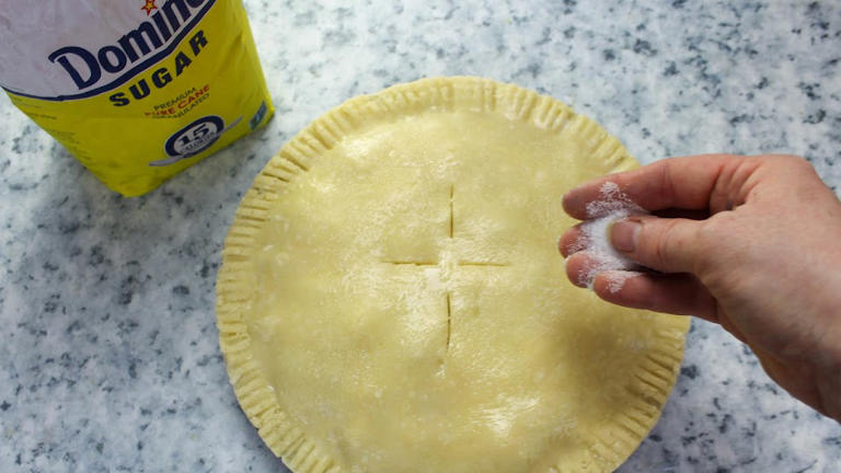 Homemade Blueberry Pie Is A Treat And This Is A Fantastic Pie Recipe ...
