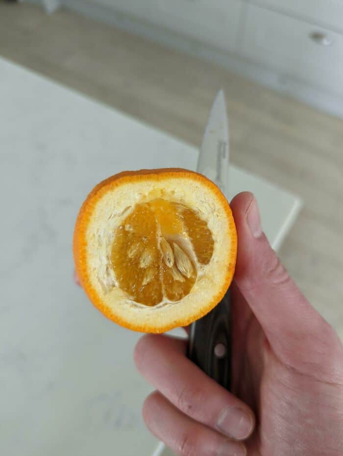 50 Disappointing Foods That Did Not Live Up To Their Expectations