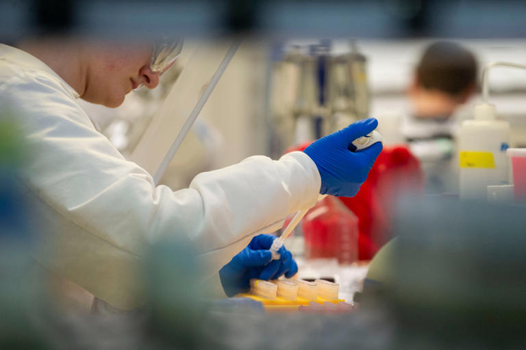 Knoxville lab launches blood test for colorectal cancer screening ...