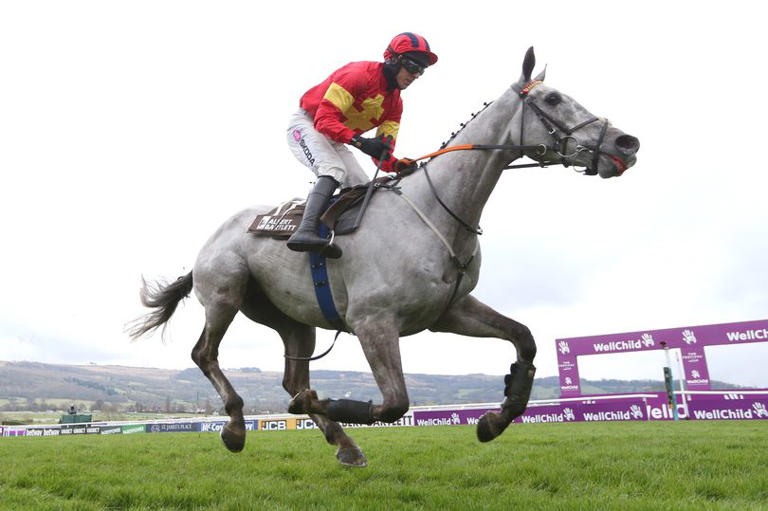 Cheltenham Festival 2025 day 2 full race card and tips - list of ...