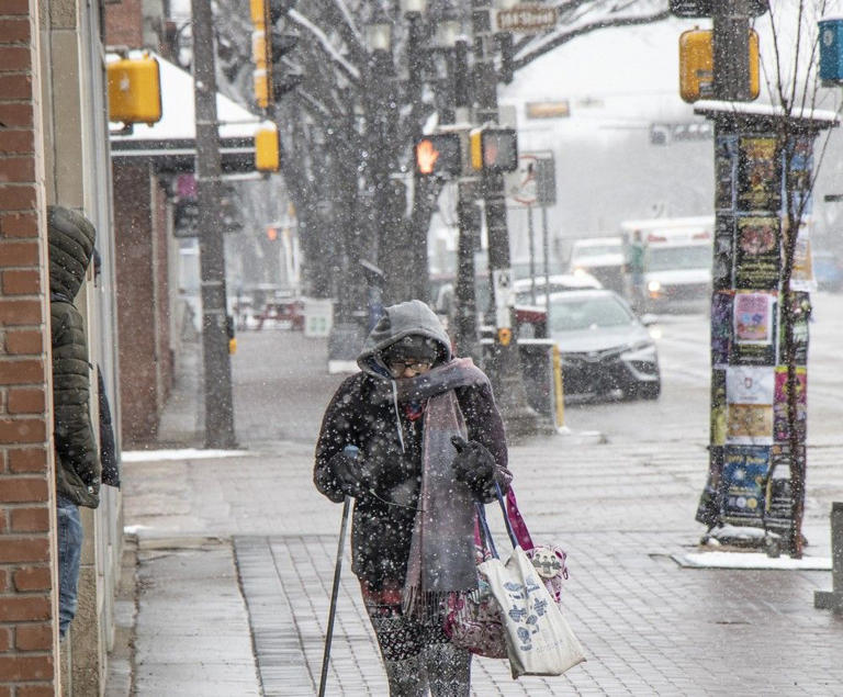 Edmonton weather: A weekend of flurries, intense wind chill, and risk ...