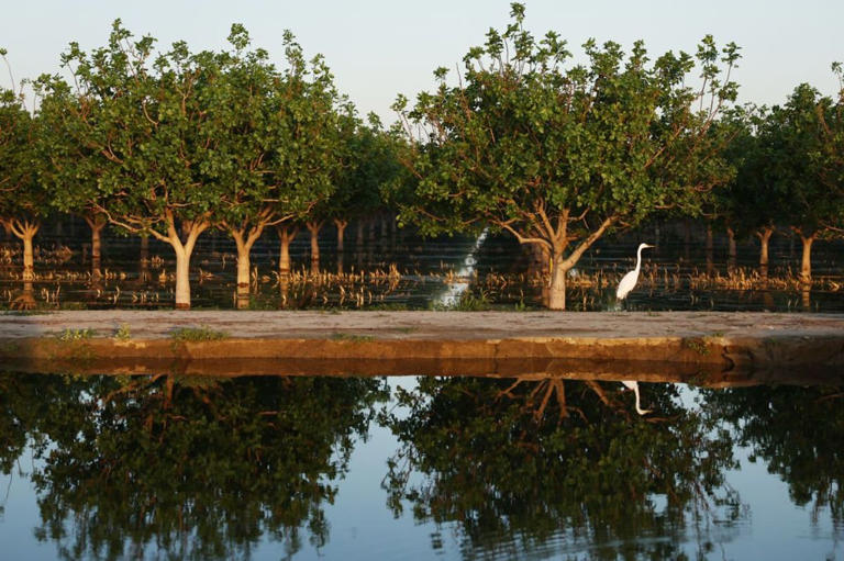 Giant lake suddenly returns 130 years after vanishing