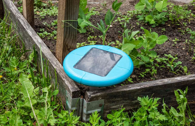 Transform your garden with these 56 easy hacks Transform your garden with these 56 easy hacks