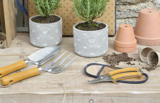 Transform your garden with these 56 easy hacks Transform your garden with these 56 easy hacks