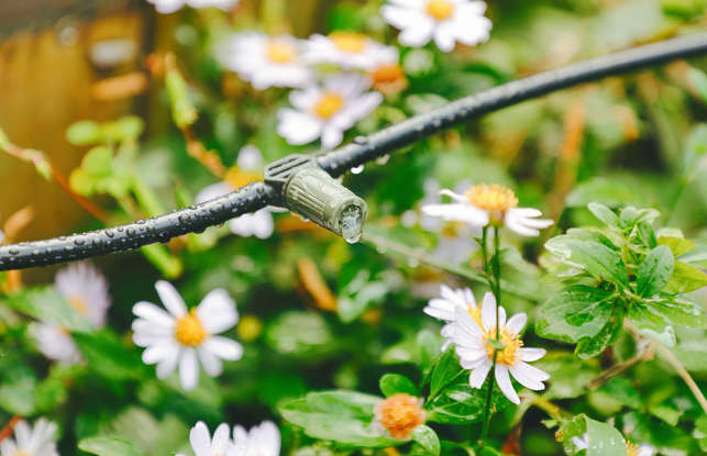 Transform your garden with these 56 simple tricks Transform your garden with these 56 simple tricks