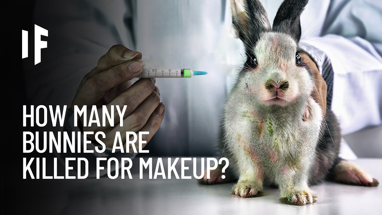 If We Banned Animal Testing, Here’s What Would Change