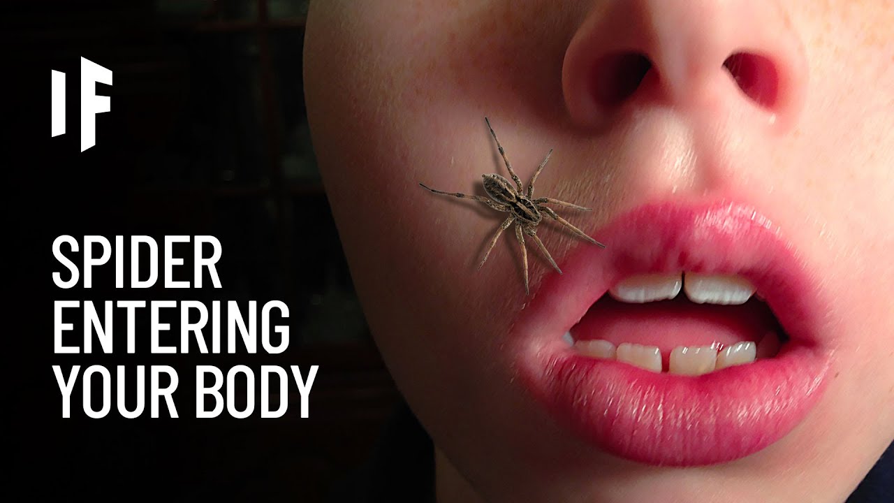 Imagine a spider crawling into your body while you sleep