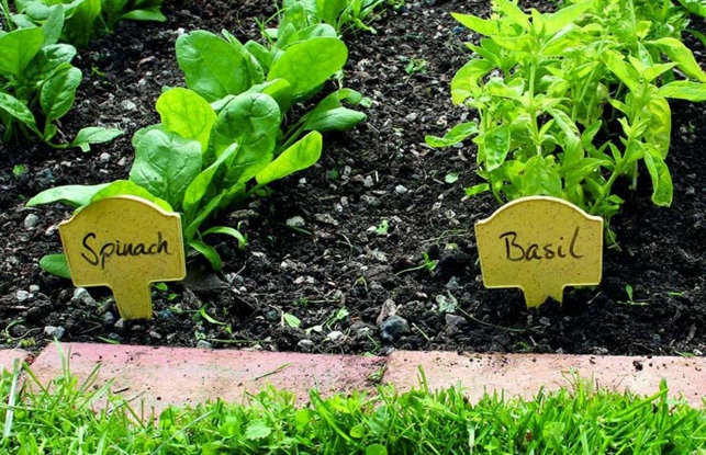 Transform Your Garden With These 56 Simple Tricks Transform Your Garden With These 56 Simple Tricks