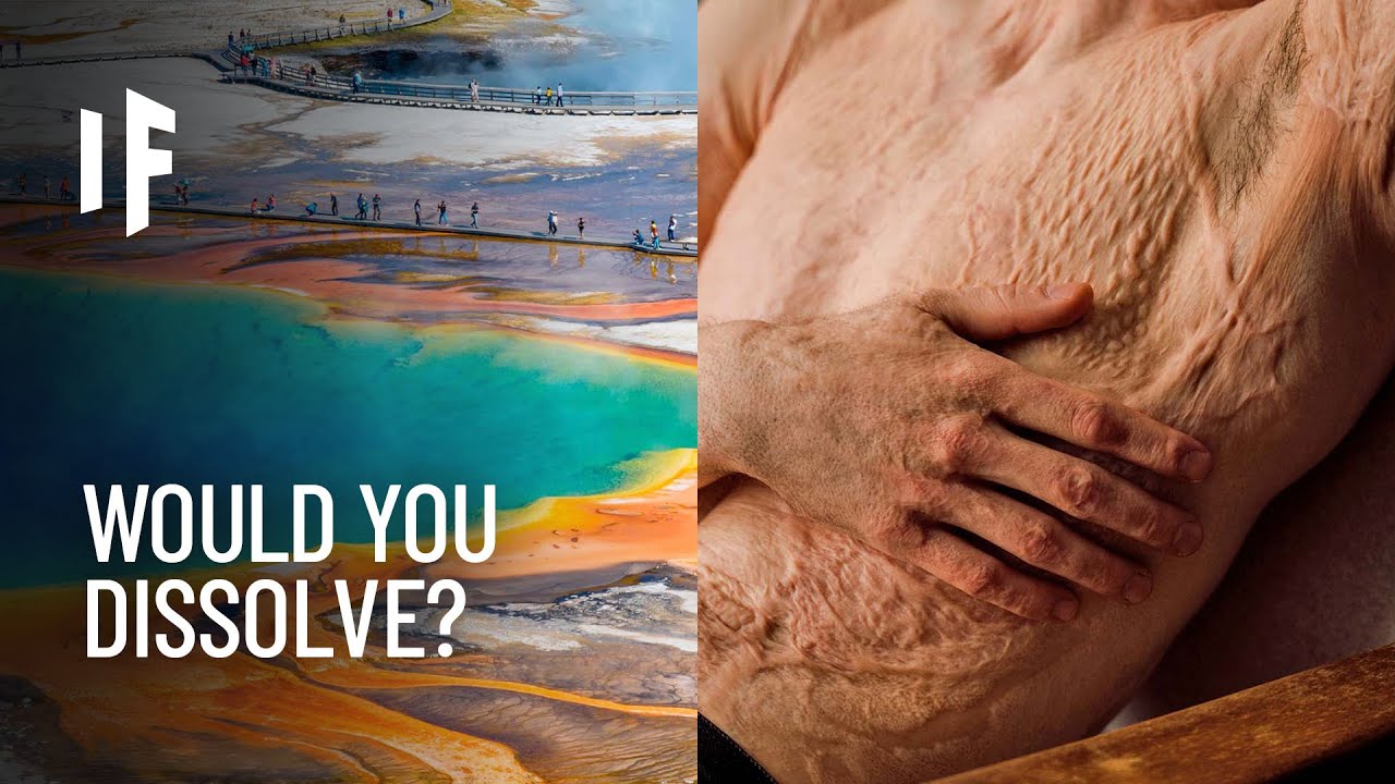 How falling into a Yellowstone hot spring would feel