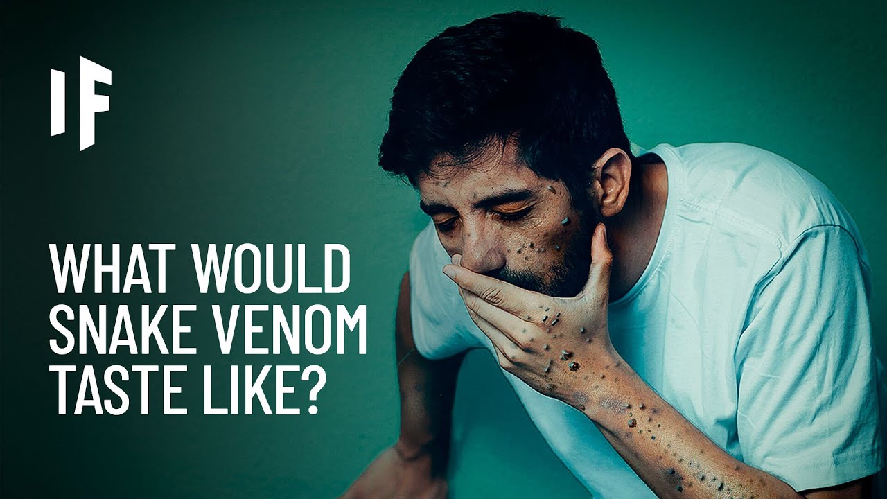 How drinking snake venom would affect you