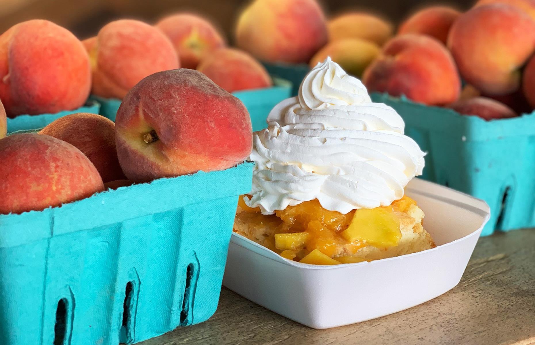 The absolute best farm shop in every state, ranked