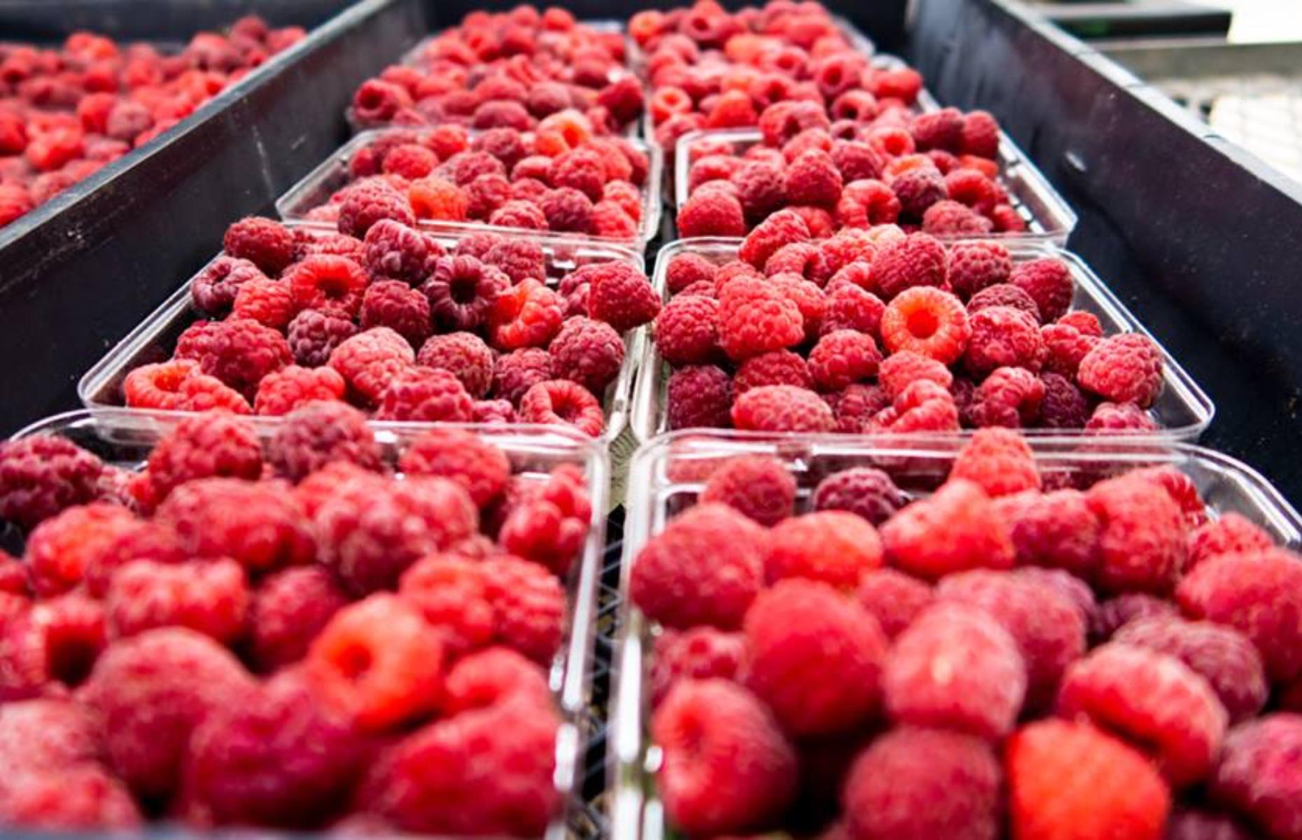 The best farm stores for fresh local produce in every state, ranked