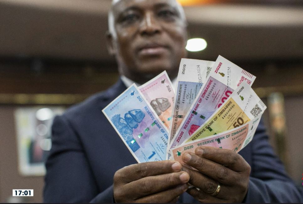 Zimbabwe economy | Vendors and businesses reject Zig-only idea