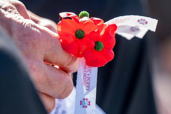 30 Veterans Day Facts Everyone Should Know