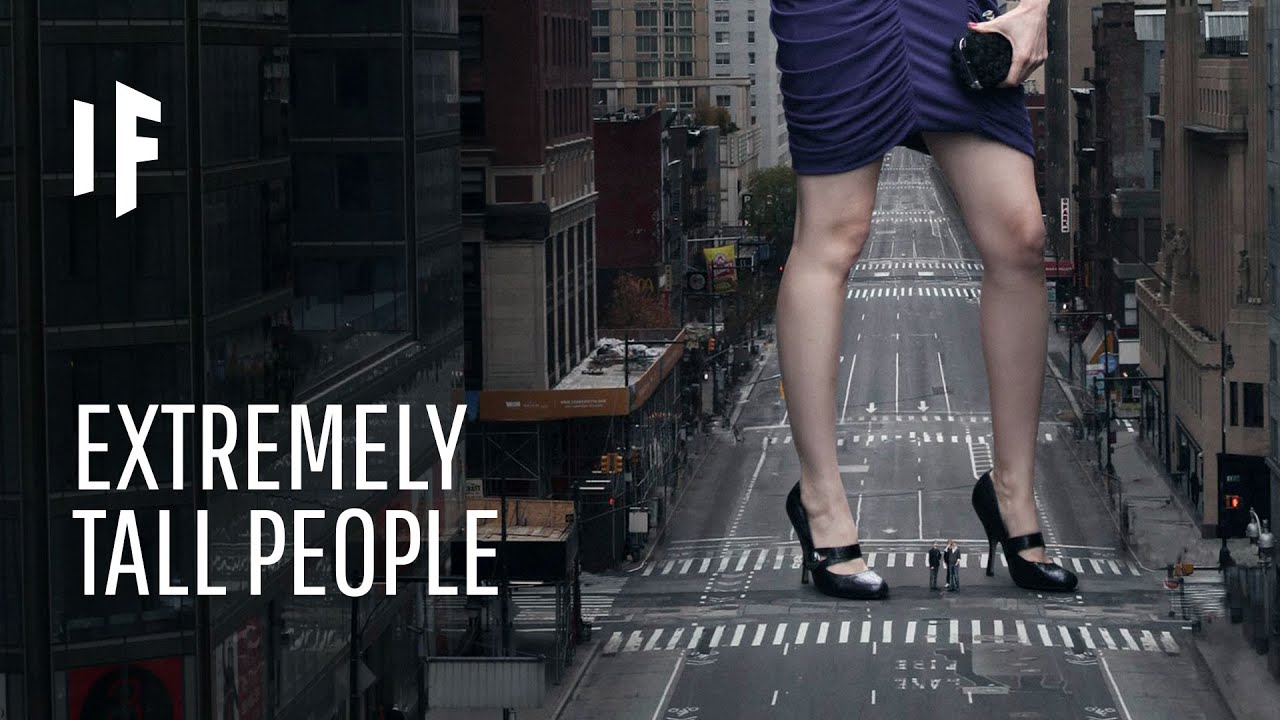 If Humans Were 5 Meters Tall: The Impact