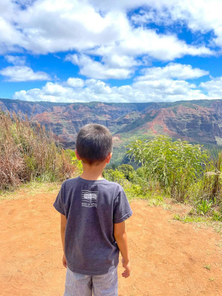 Kauai vs Maui for Families: Which Island Should You Choose?