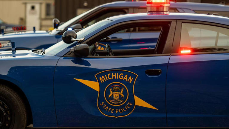 Body of newborn baby found in toilet at Michigan's Electric Forest festival
