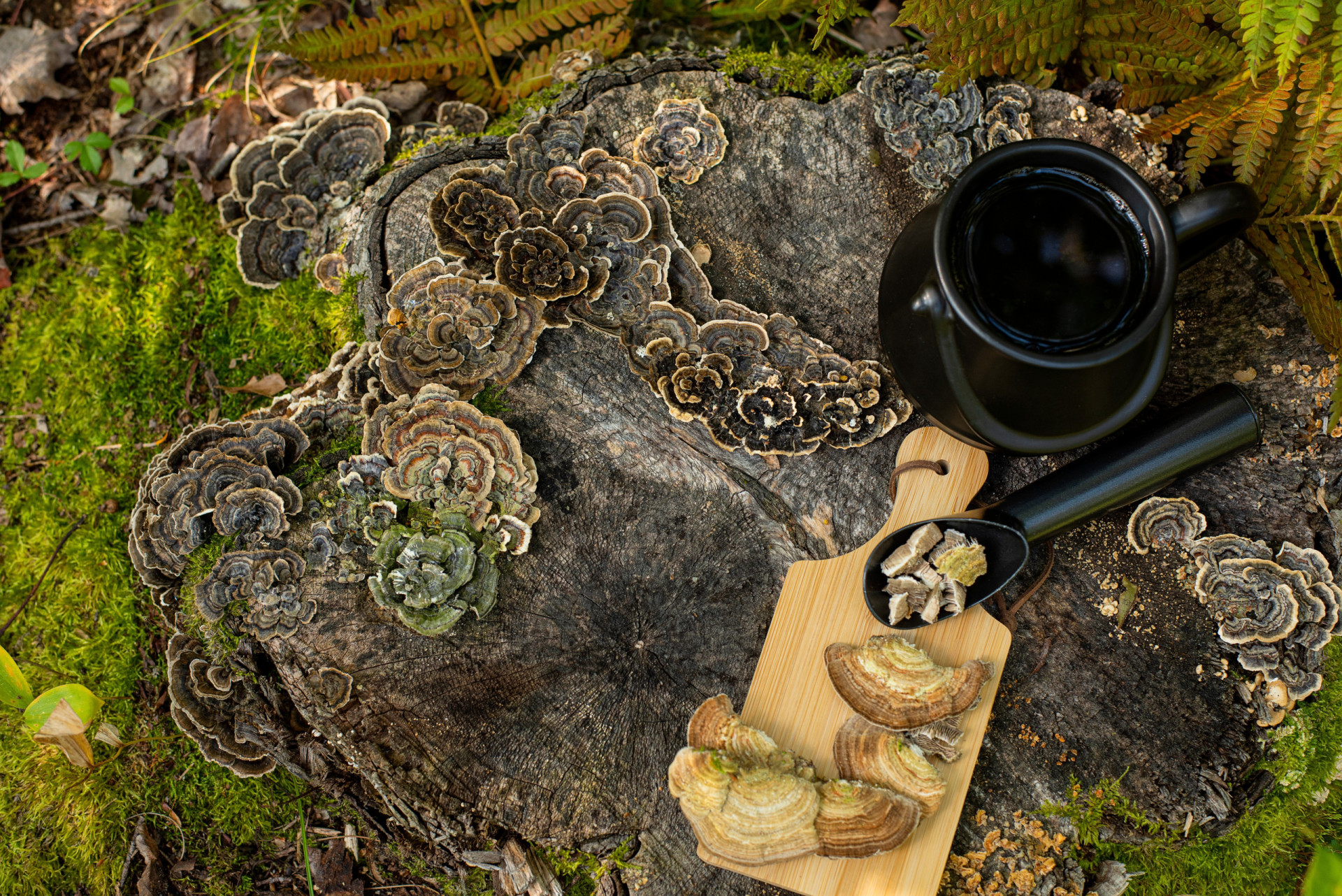 Les bienfaits du café aux champignons