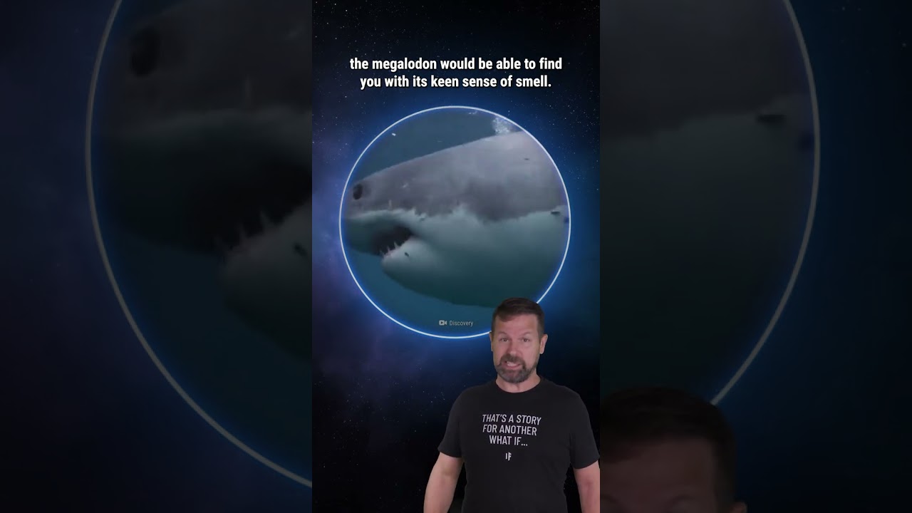 What Would Happen If You Were Attacked by a Megalodon?