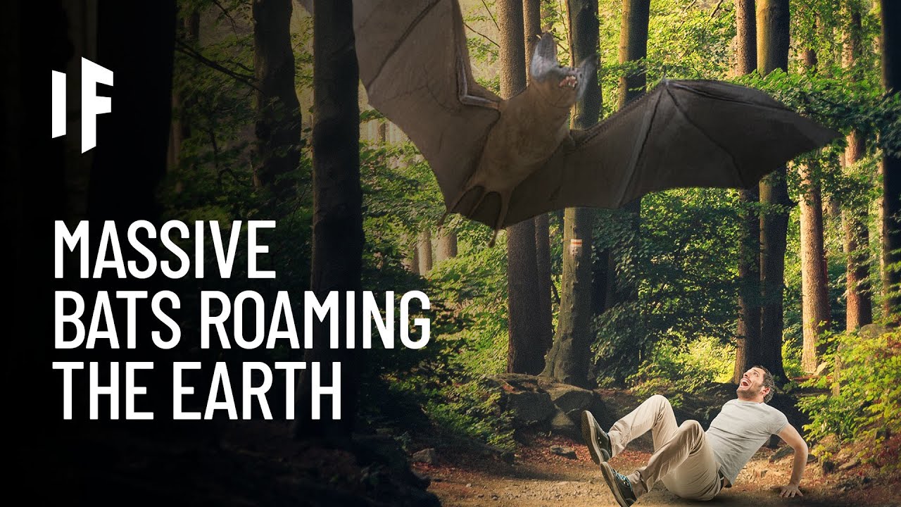 Imagine bats the size of humans flying around you