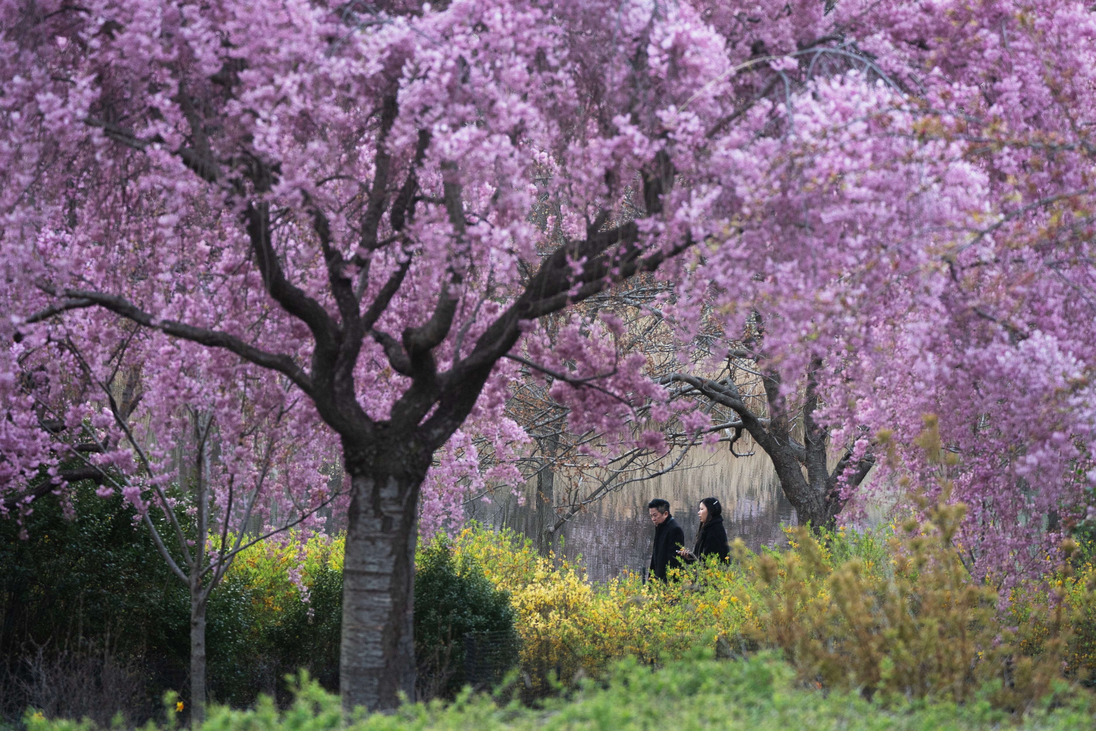 When is the first day of spring? What to know about next season and how ...