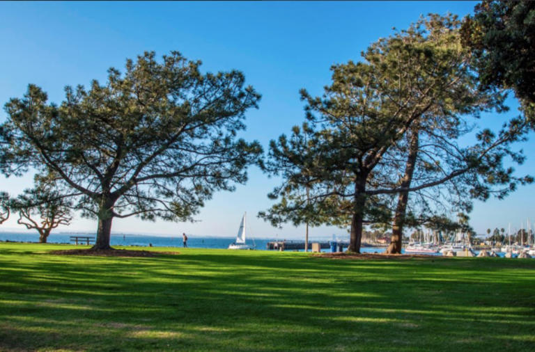 Port, city of Chula Vista to open Sweetwater Park along South Bayfront