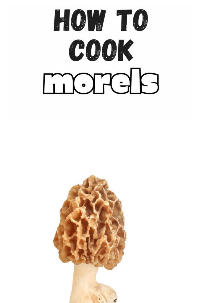 Best Tips On How To Cook and Clean Morel Mushrooms