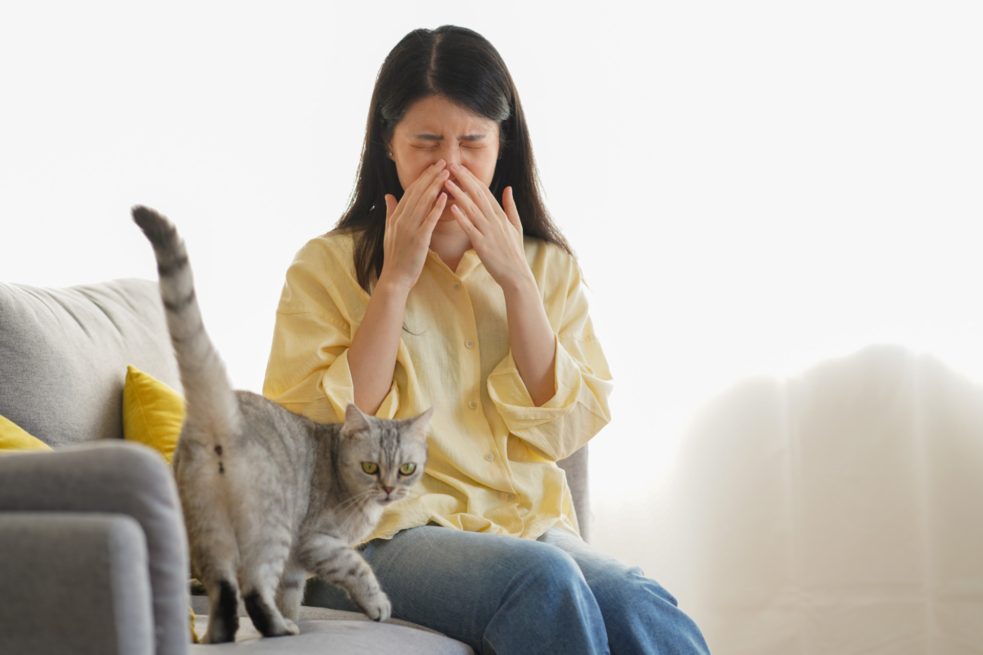 How to live with your pet if you're allergic