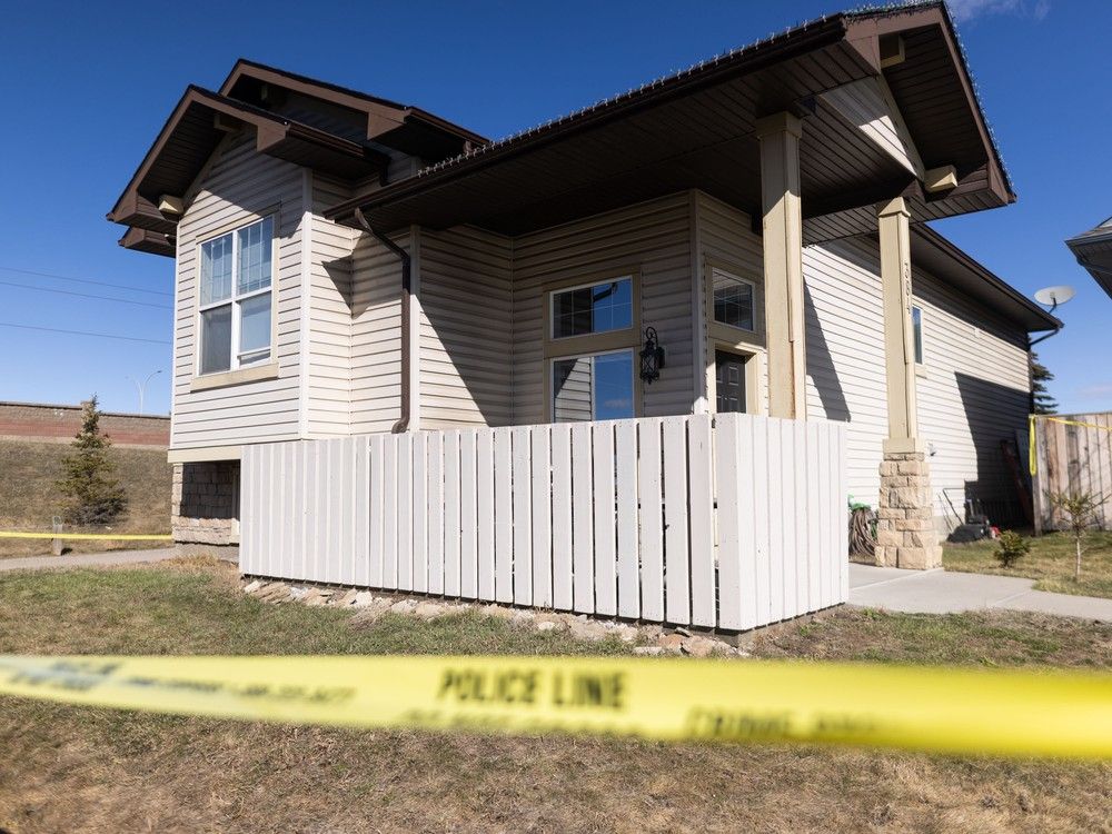 In Calgary courts: Suspect in landlord's fatal stabbing is fit to stand ...