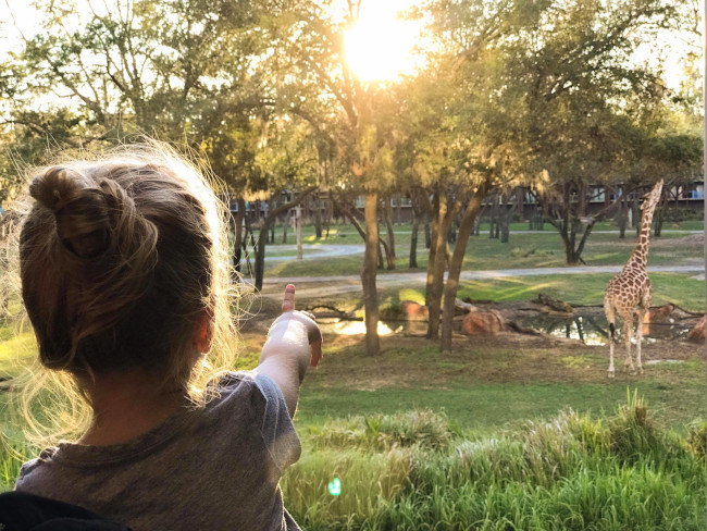 Disney World Sorcerer Pass: Blockout Dates, Price, and Perks