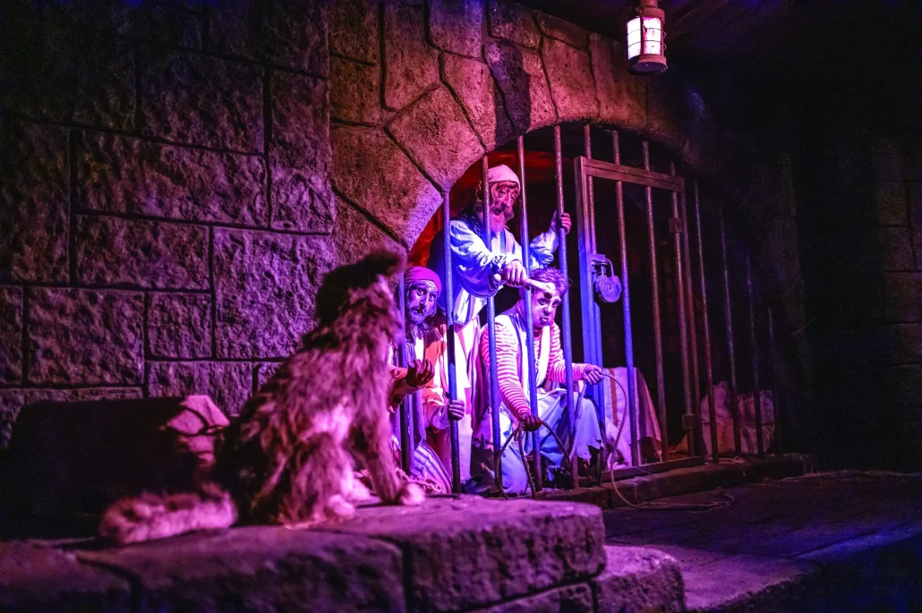 Best Rides at Magic Kingdom: Ranking the Top Rides at Disney World