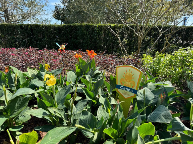 How to Find Spike the Bee: The Pollen-Nation Exploration Scavenger Hunt ...