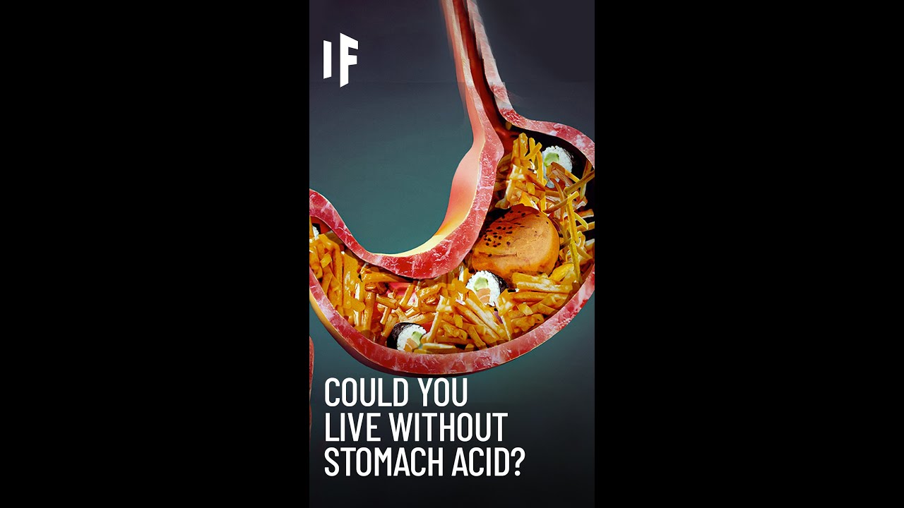 Could Humans Live Without Stomach Acid?
