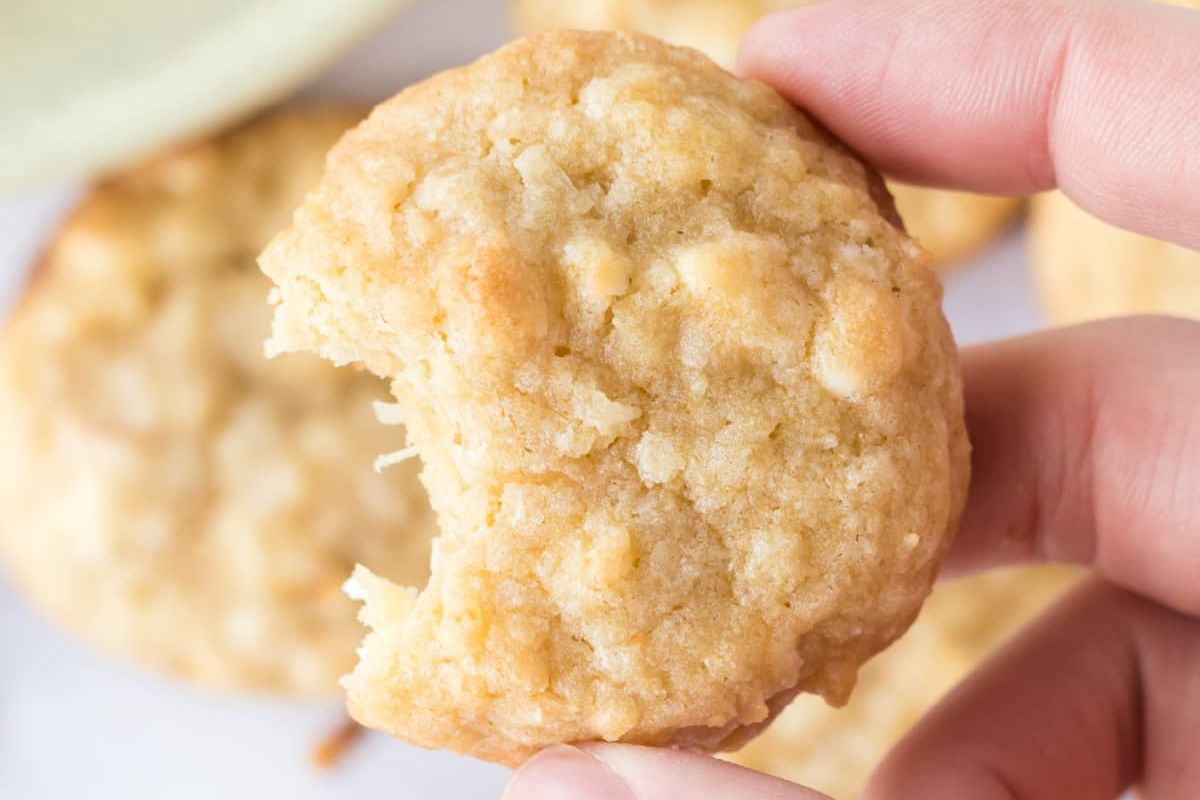 40 Easy Cookee Recipes for Any Occasion