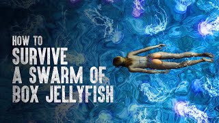 Surviving a Swarm of Box Jellyfish