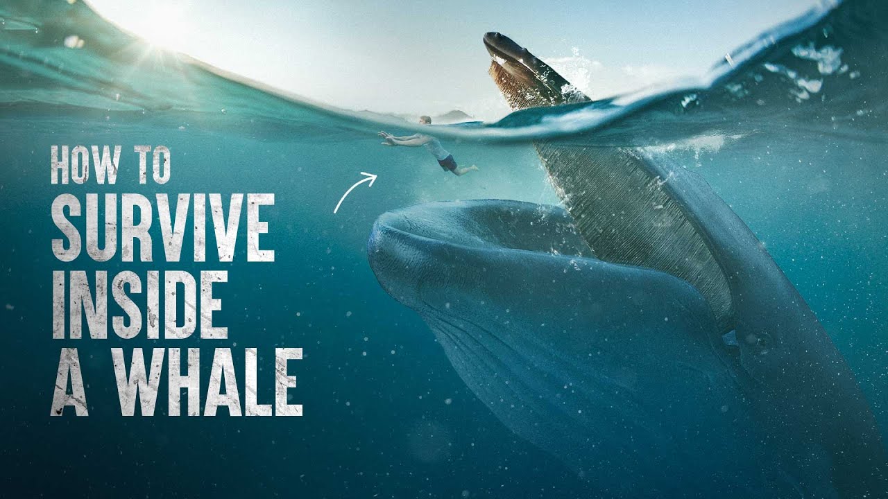 Surviving being swallowed by a whale