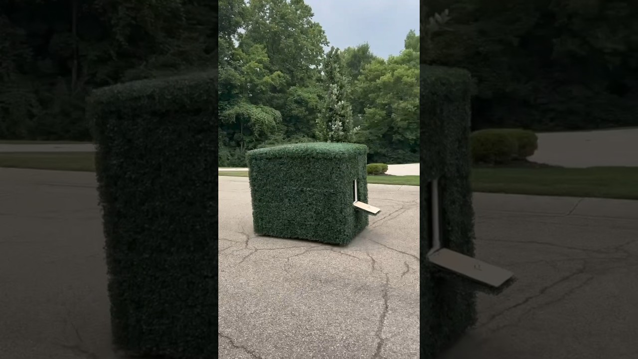 I Built a Bush That Actually Drives Like a Car