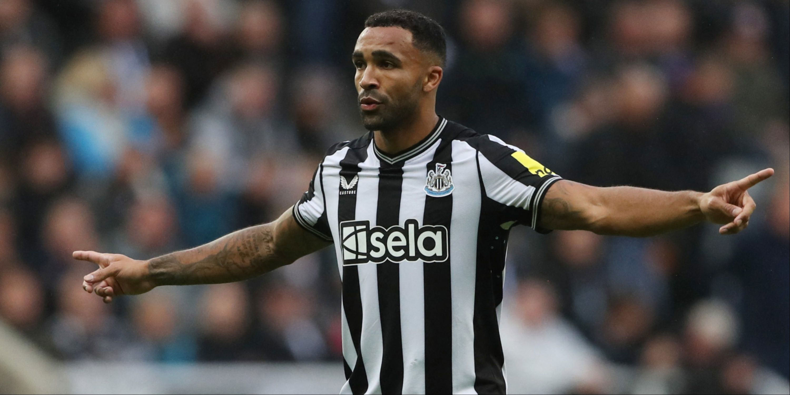 Callum Wilson Now 'Likely to Leave' Newcastle Callum Wilson Now 'Likely to Leave' Newcastle