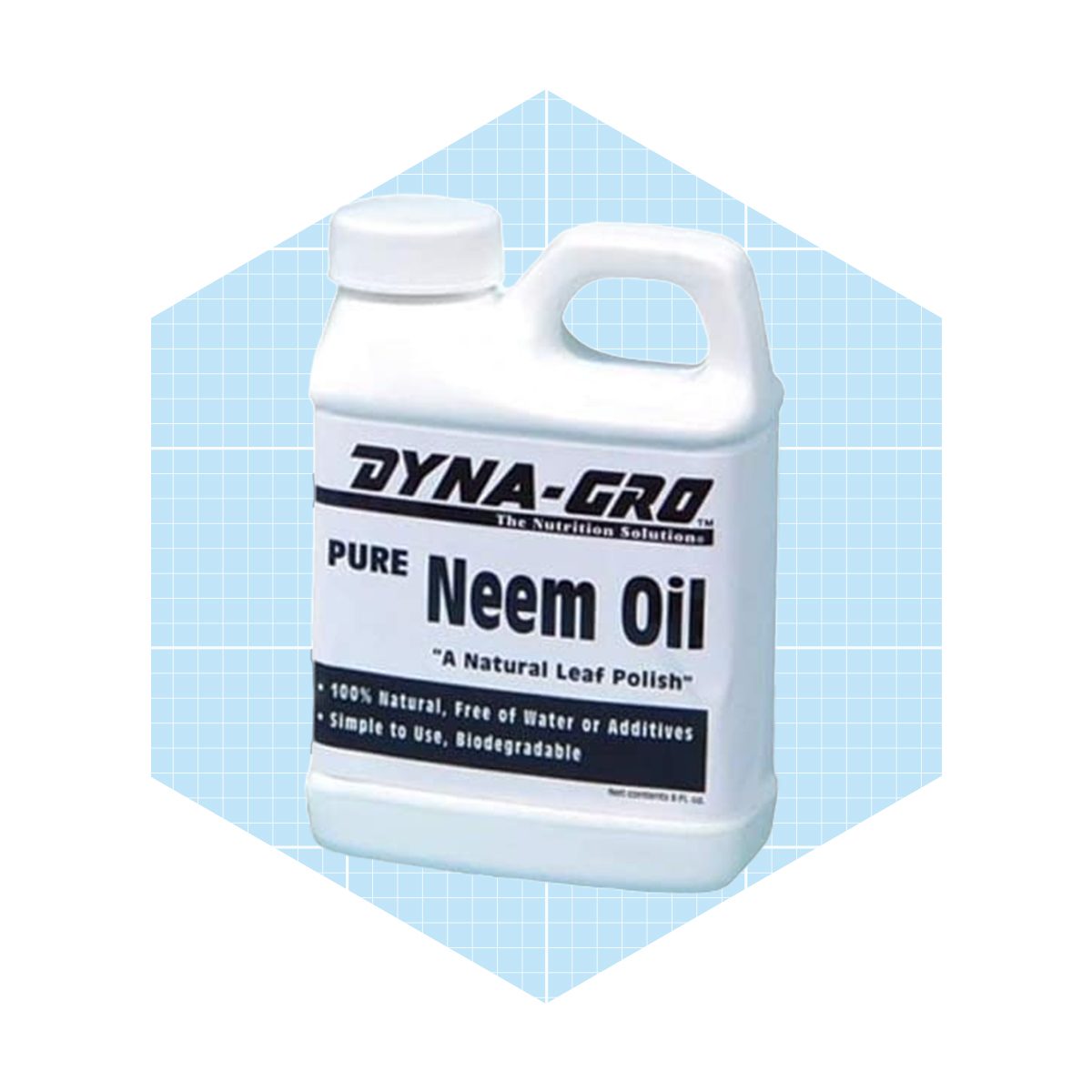 Stink Bug Repellents: Natural, Ultrasonic, & Wall Plugin Options to ...