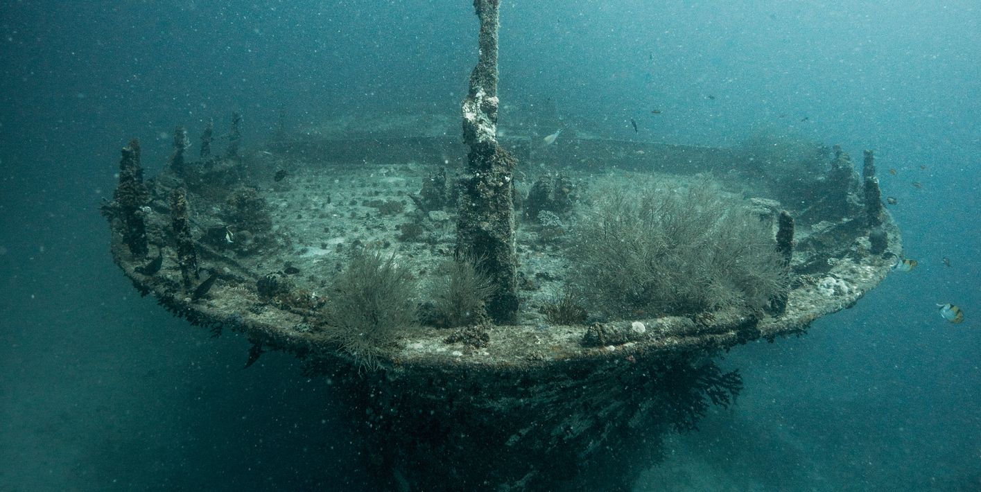 A Father and Daughter Went Fishing—and Accidentally Discovered a 153 ...