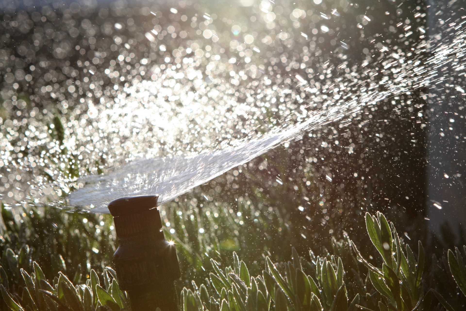 Amazing inventions we have African Americans to thank for