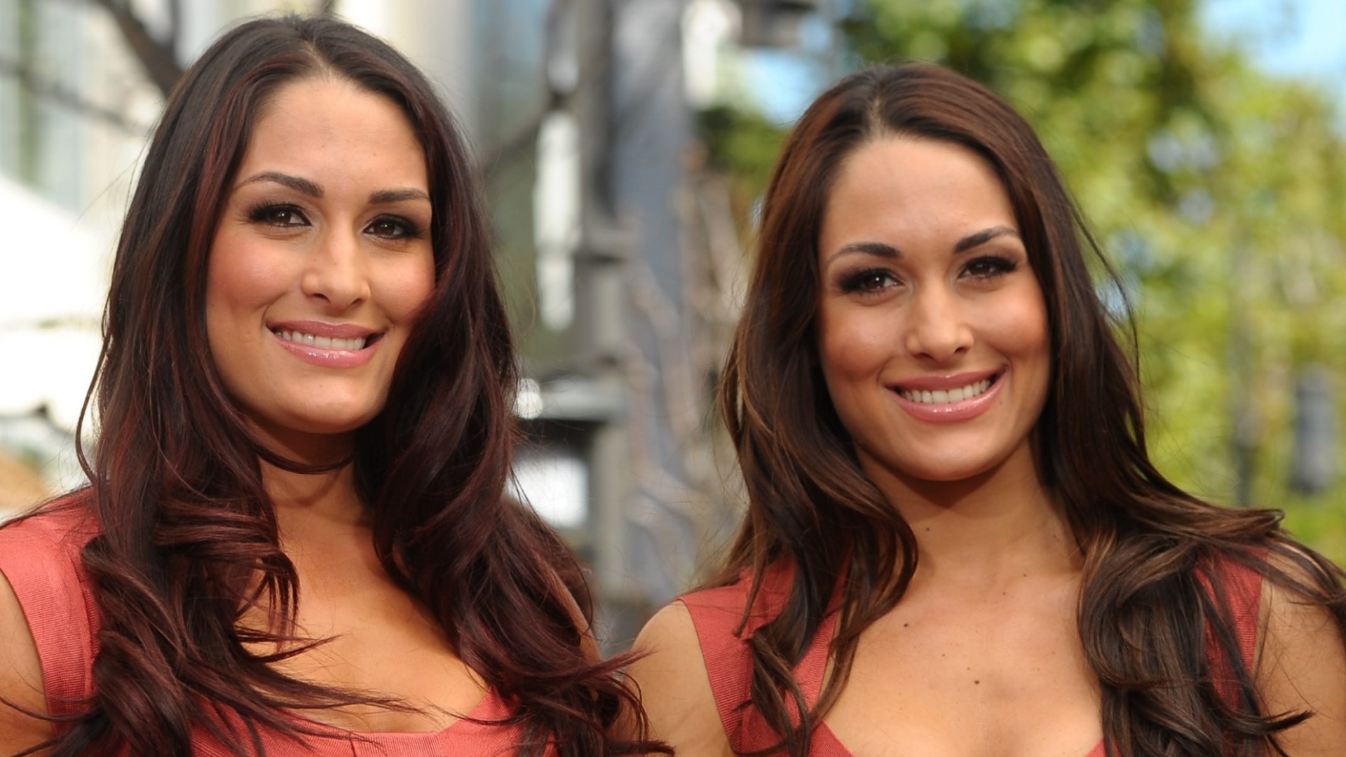 The most famous identical twins: where are they now?
