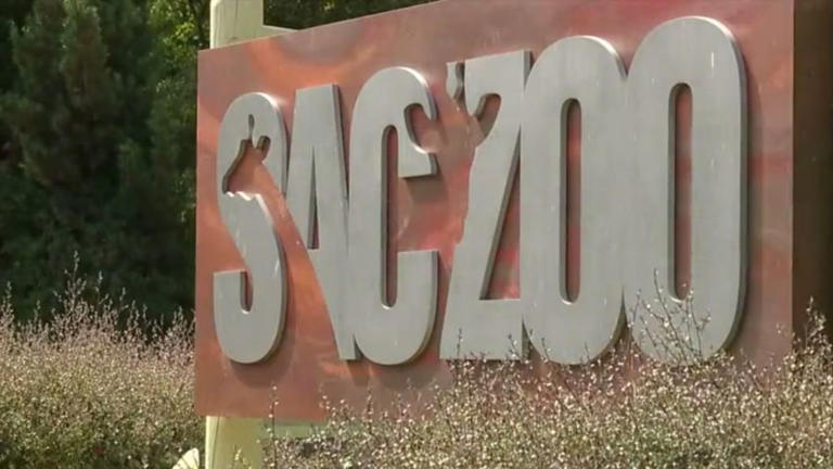 Sacramento Zoo CEO stepping down after 6 years