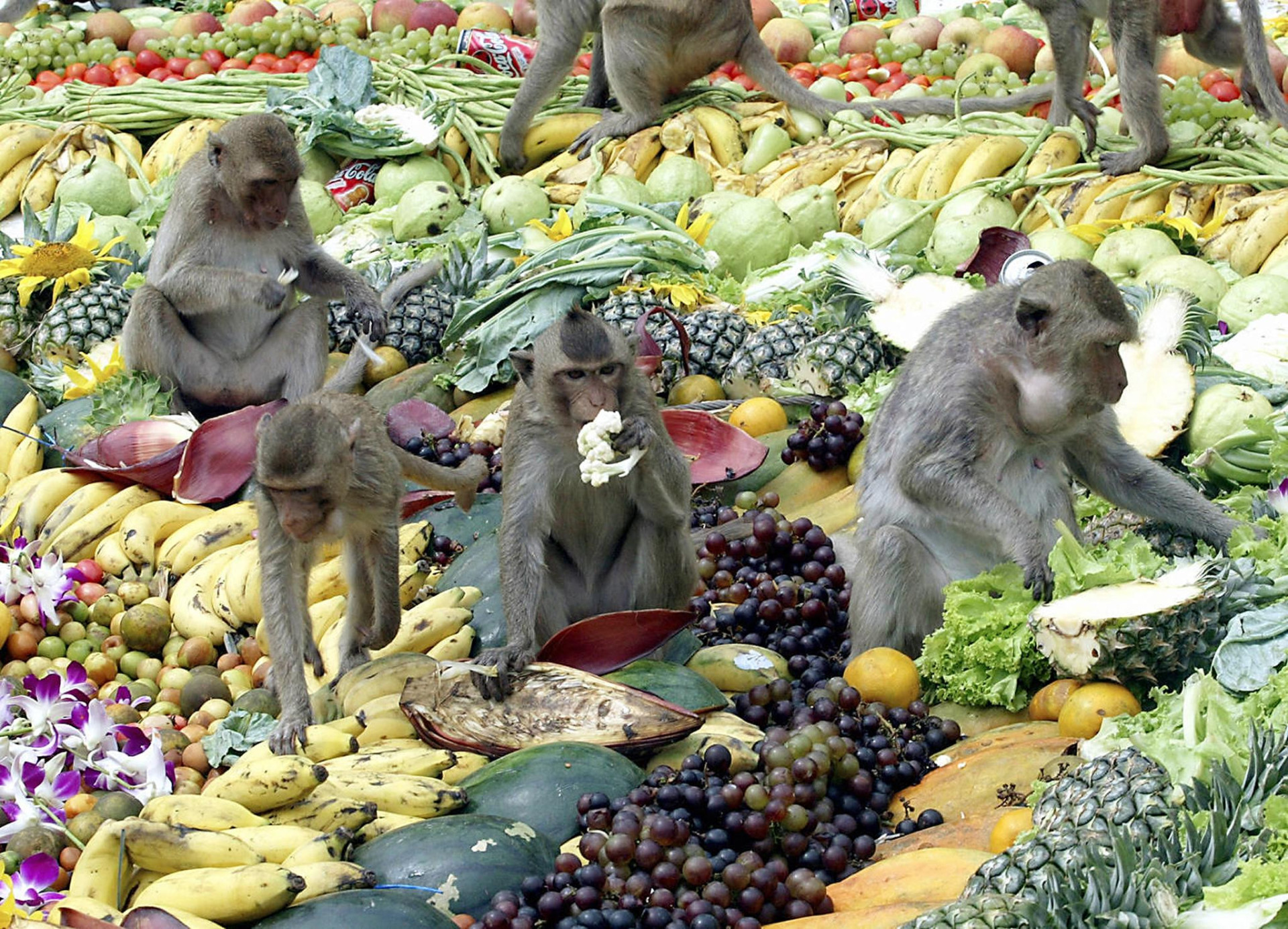 The best food festivals around the world