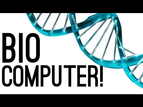Could Nano-Bio Computers Overtake Quantum Tech?