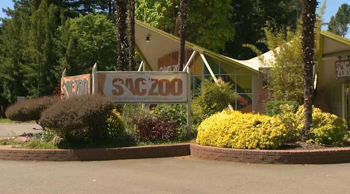 Sacramento Zoo no longer moving to Elk Grove after years of planning