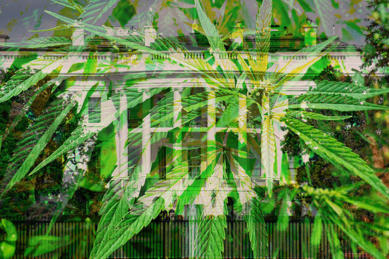Trump pushing Congress to pass marijuana banking legislation - report