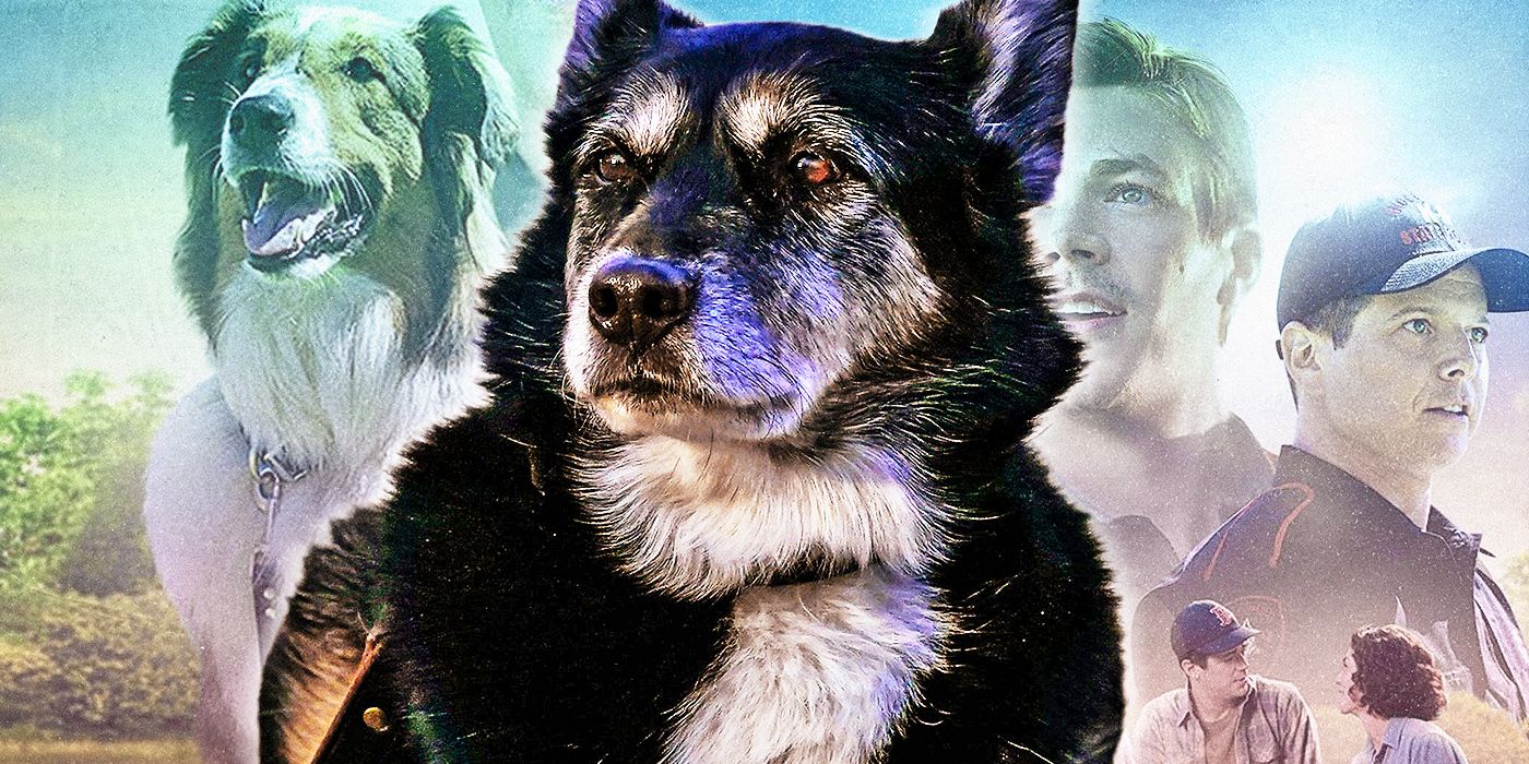 Is Rescued by Ruby a True Story?